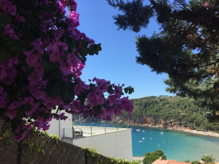 cala montgo une magnifique crique sur la costa brava - www ...